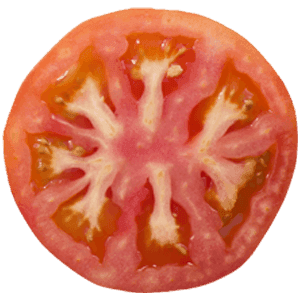 Mega Ribster Burger | Menu | Steers SA